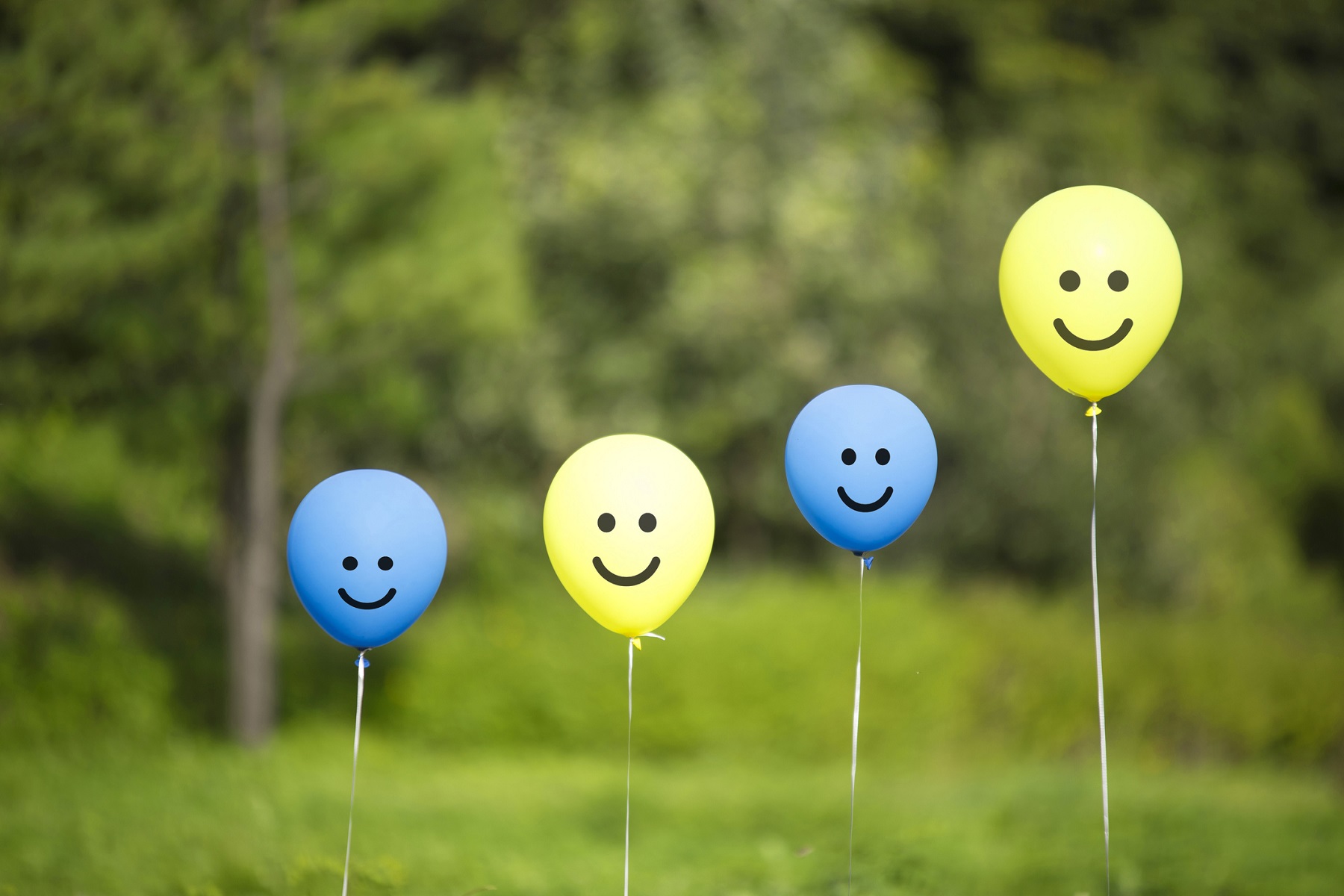 So far, so good | Muzinich & Co.