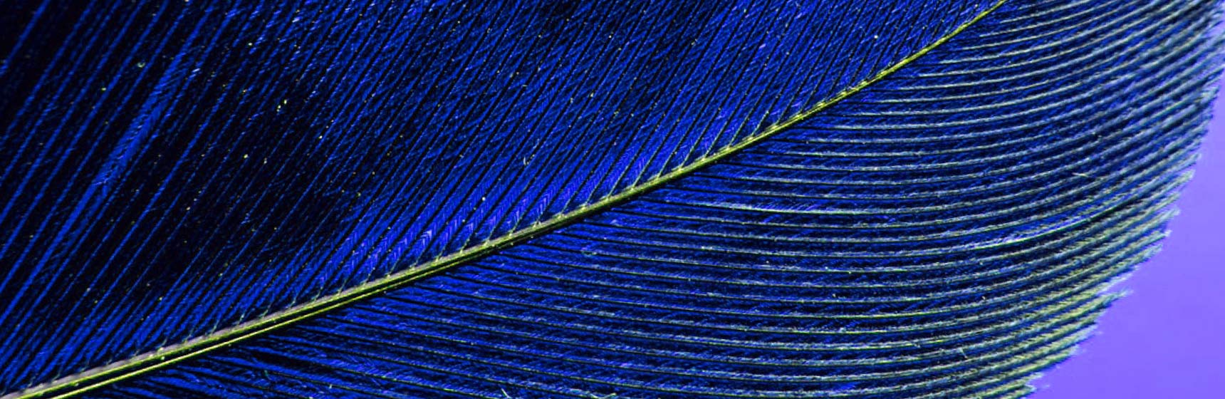 Emerging Markets | Muzinich & Co.